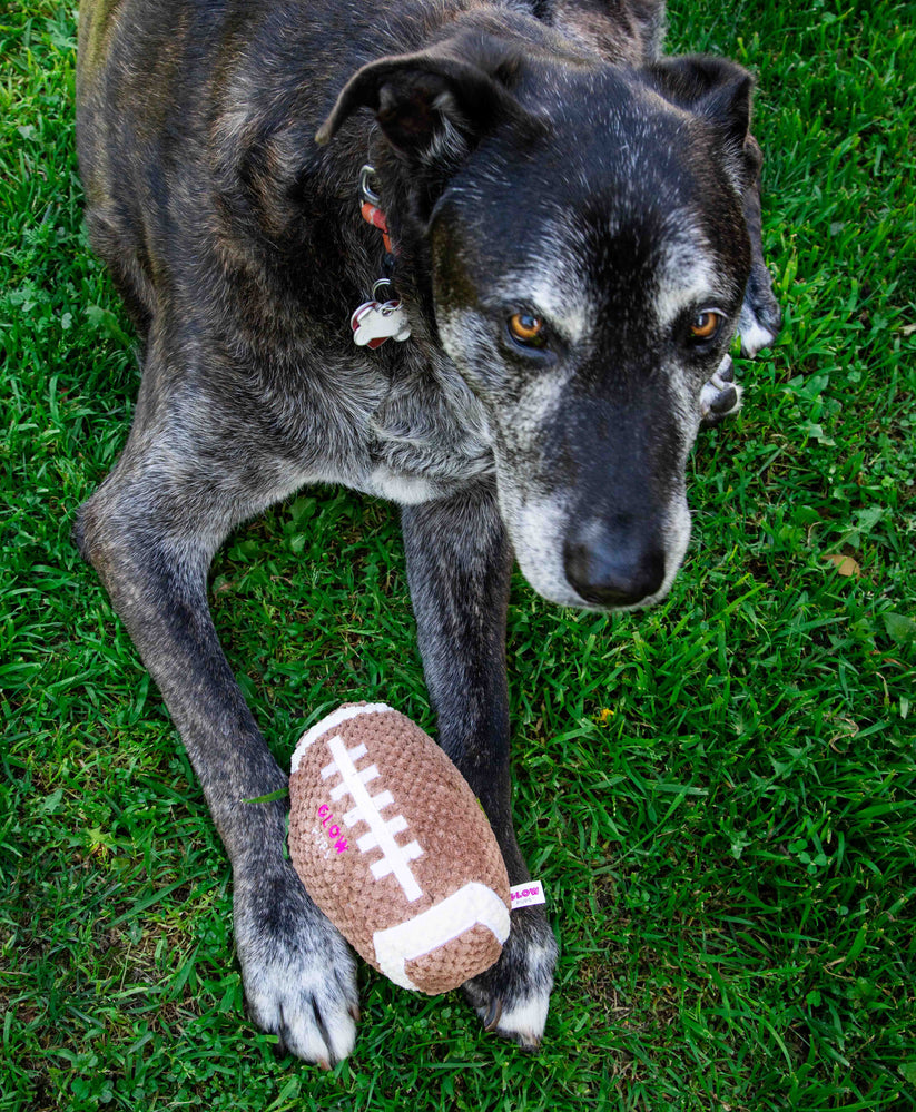 Squeaky Football Dog Toy | Glow Pups